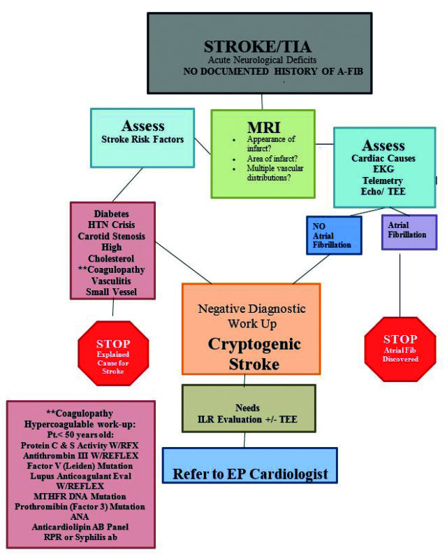 New multidisciplinary care pathway helps to reduce the risk of recurrent stroke in cryptogenic ...