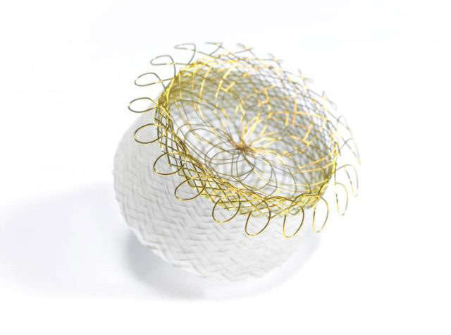 Occlutech left atrial appendage occluder shows high procedural success ...